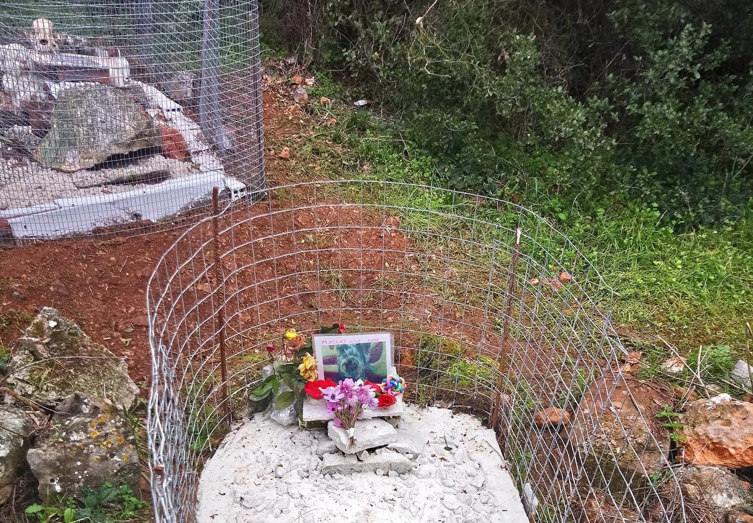 ΠΑΡΑΤΥΠΟ ΝΕΚΡΟΤΑΦΕΙΟ ΖΩΩΝ ΣΤΗΝ ΑΓΙΑ ΤΡΙΑΔΑ - Μαχητής Δυτικής Αθήνας