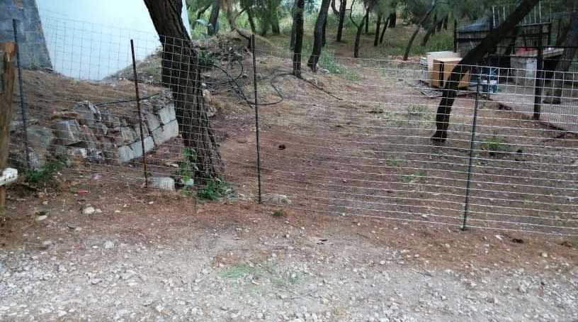 ΠΕΤΡΟΥΠΟΛΗ: ΣΤΑ ΚΟΜΜΑΤΑ ΣΤΡΕΦΕΤΑΙ Ο ΔΗΜΟΣ ΓΙΑ ΝΑ ΔΟΘΕΙ ΛΥΣΗ ΜΕ ΤΟ ...